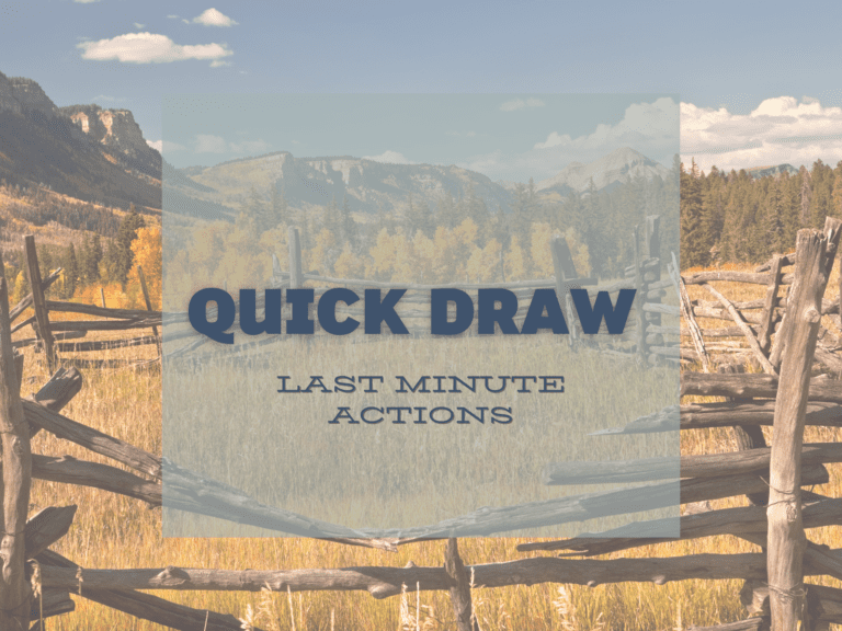 Quick Draw – Western Martingale
