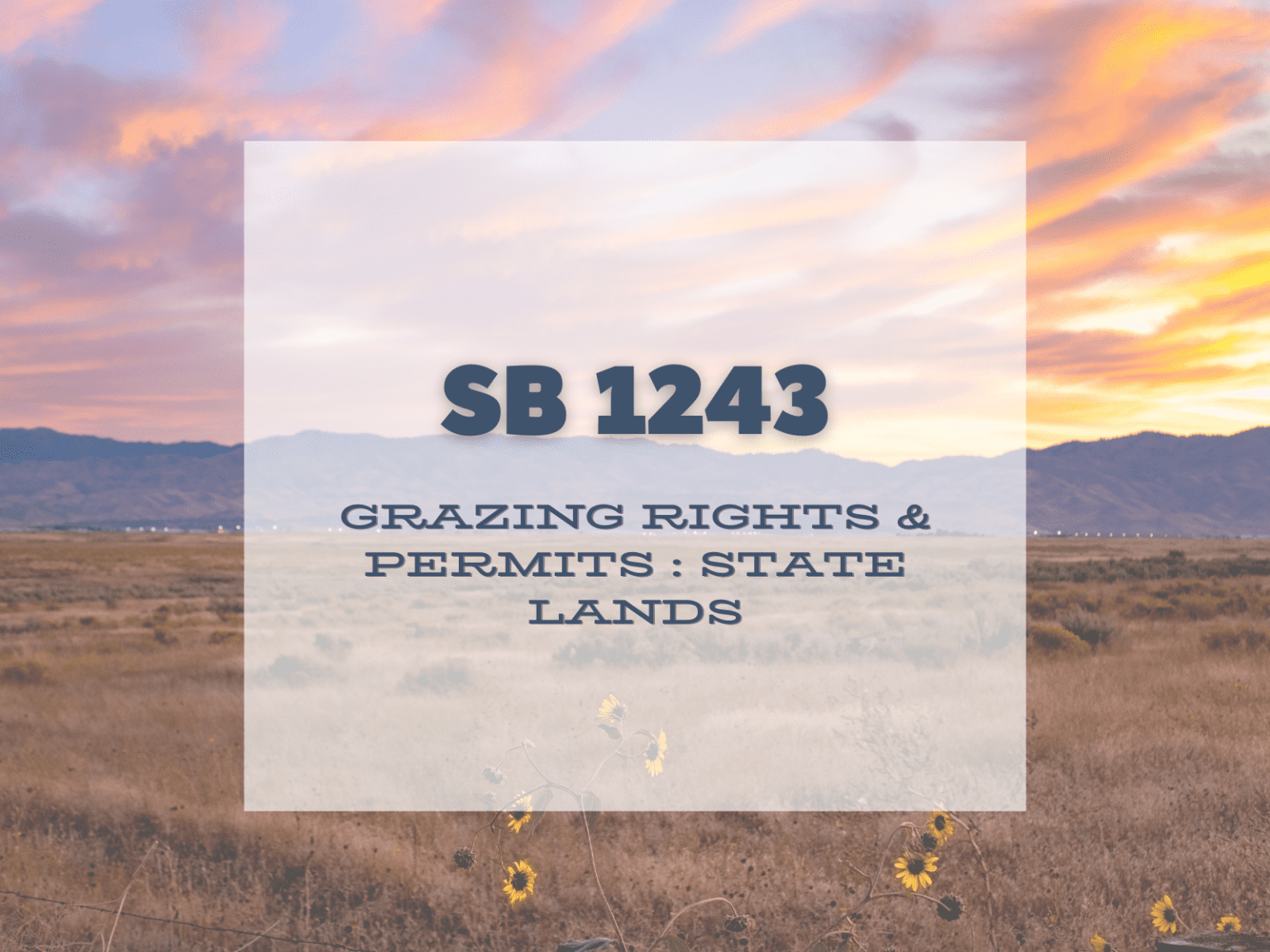 Grazing Rights & Permits : State Land – Western Martingale