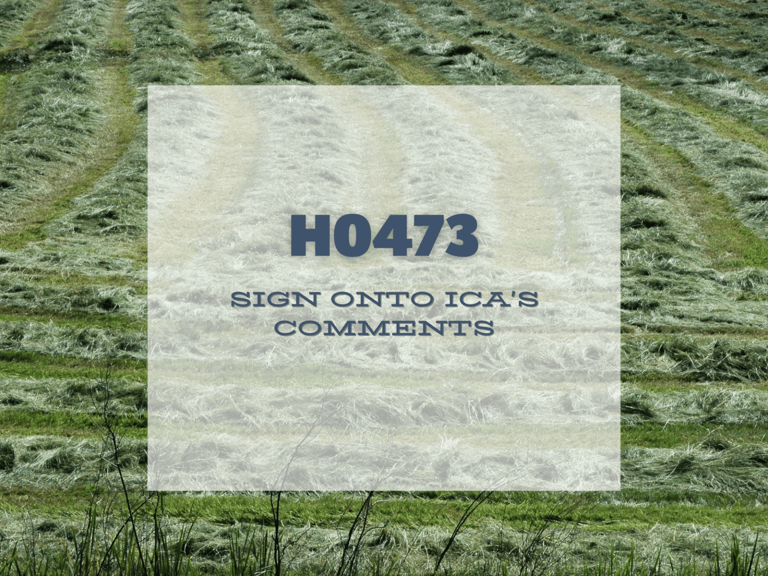 H0473_agland protection_ica sign on – Western Martingale