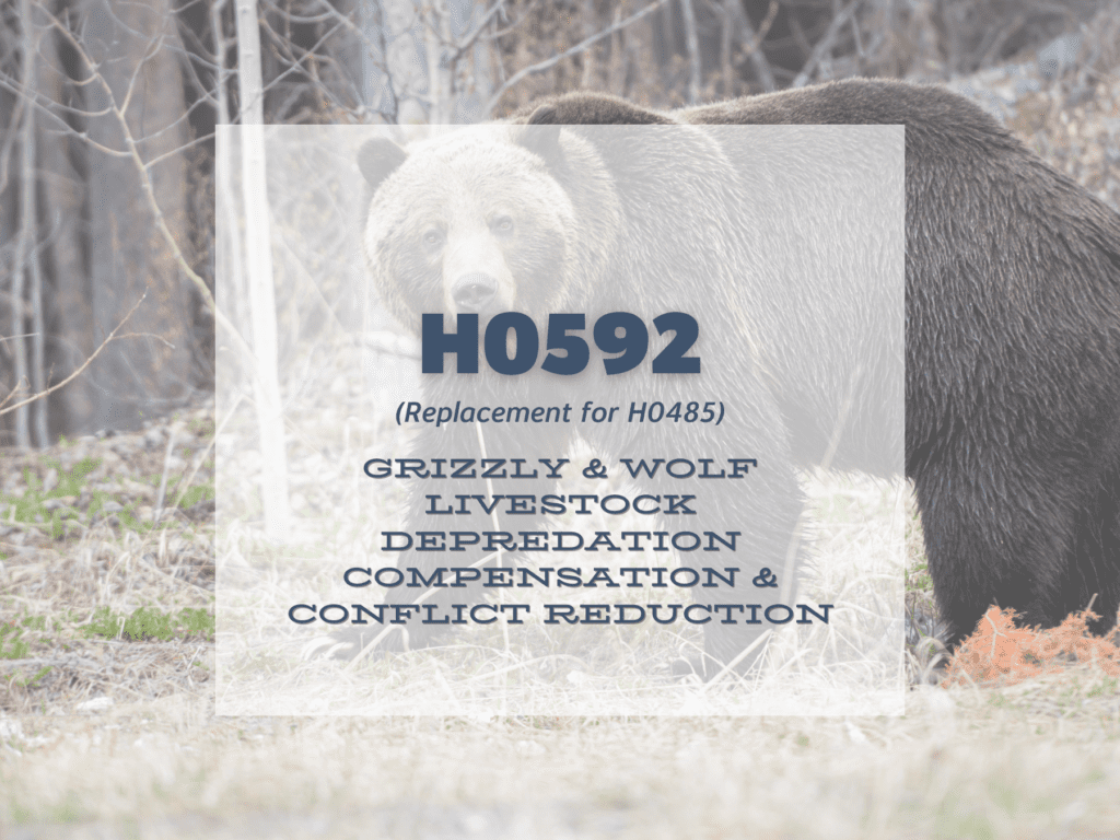 H0592_Grizzly/Wolf Depredation Compensation Fund – Western Martingale