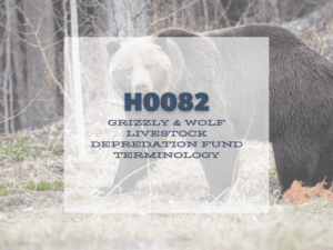 H0082 Grizzly & Wolf Depredation Terminology – Western Martingale